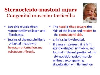 Birth Injuries OF THE BRACHIAL PLEXUS Dr. Ayman Awlia.pptx
