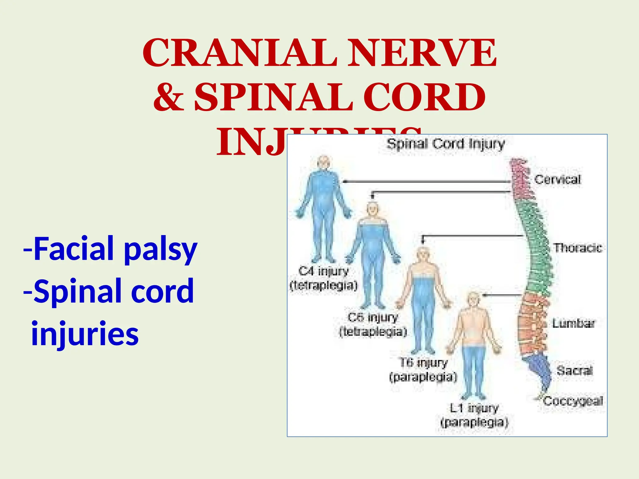 common Birth Injuries ppt in neonates .pptx