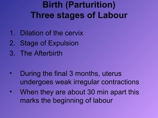 Birth (parturition) | PPT