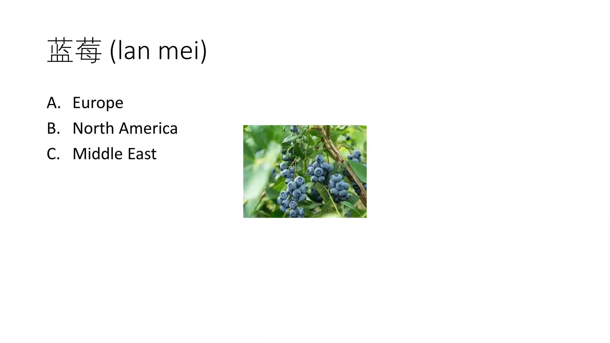 Birth Places of Some Common Fruits | PDF