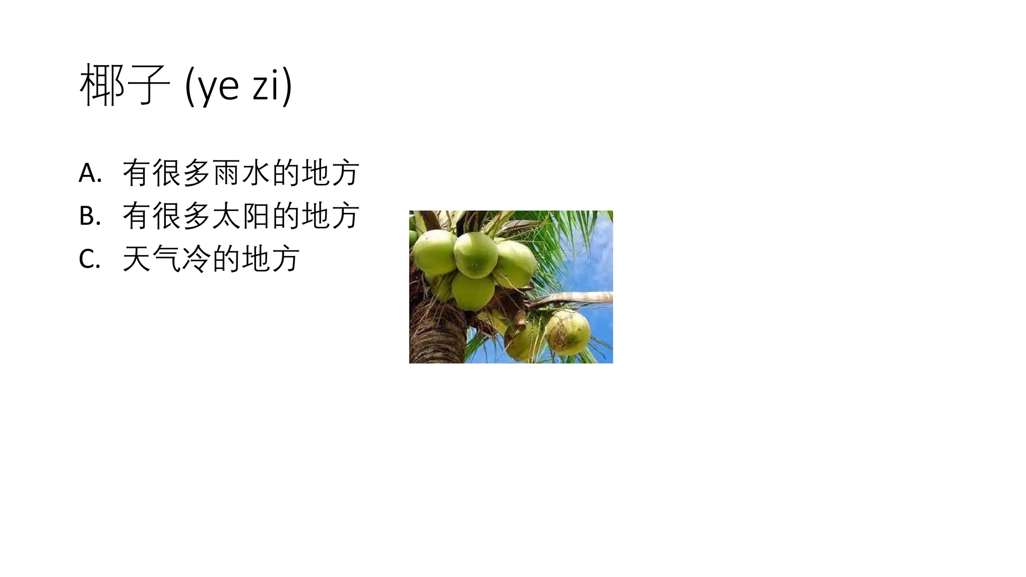 Birth Places of Some Common Fruits | PDF