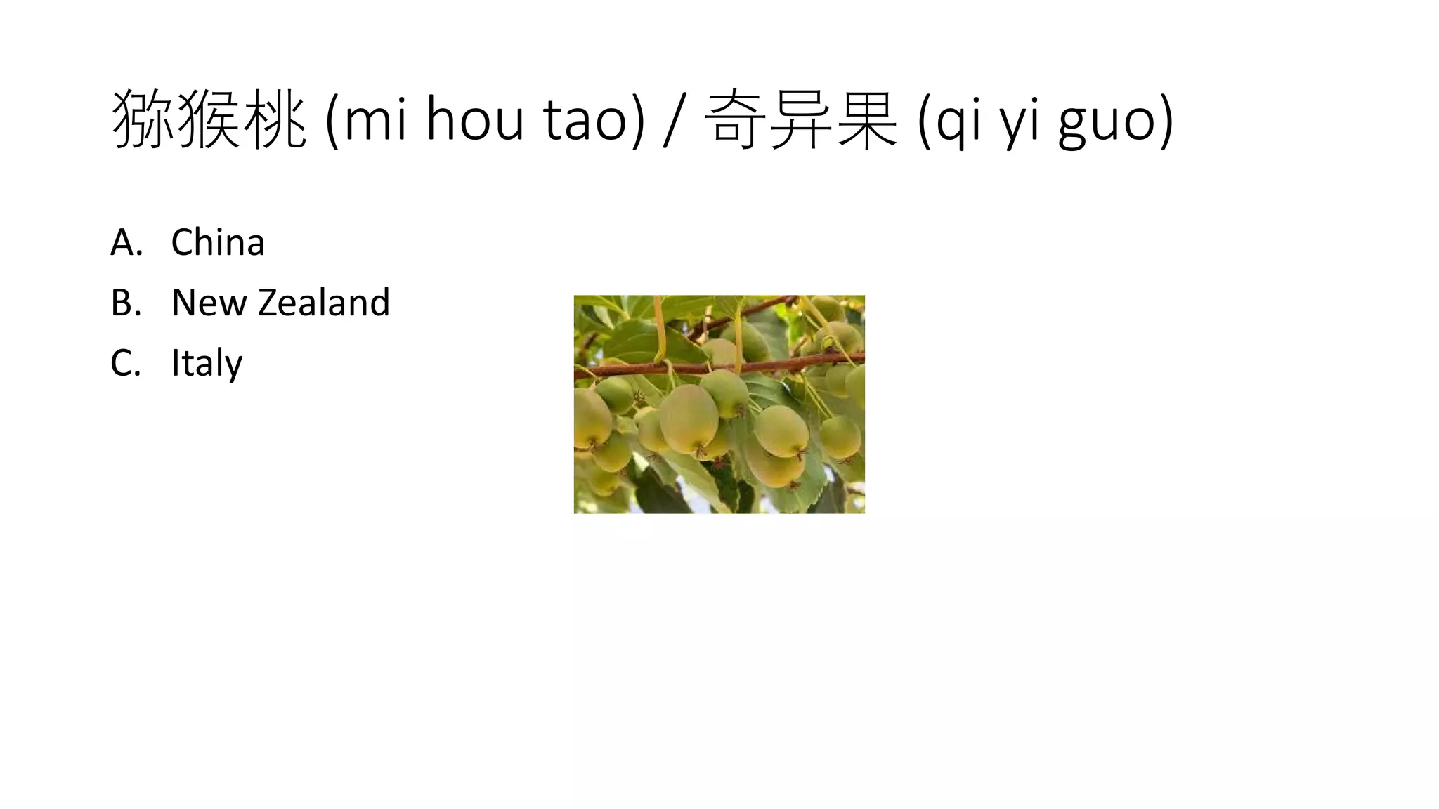 Birth Places of Some Common Fruits | PDF