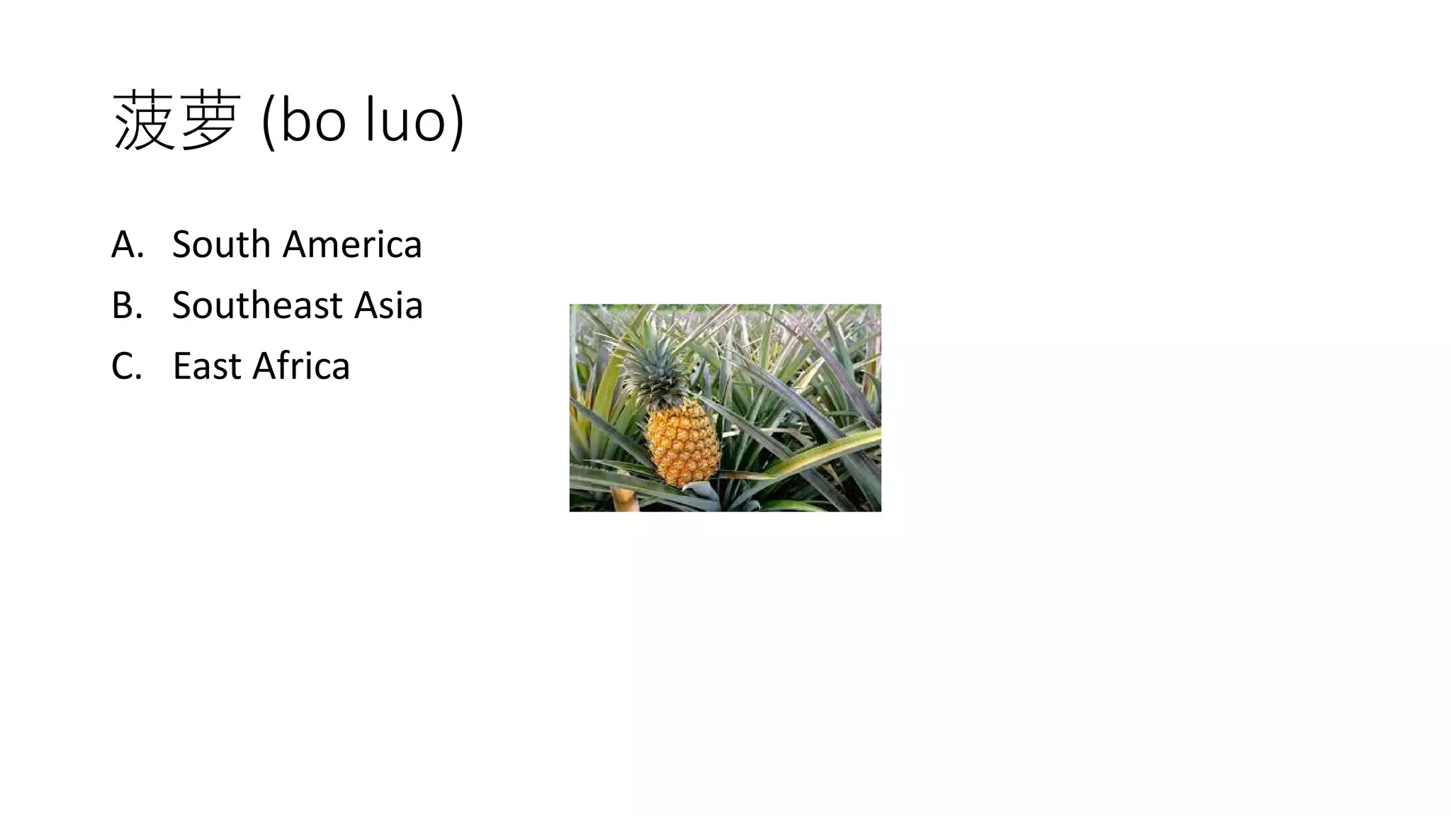 Birth Places of Some Common Fruits | PDF