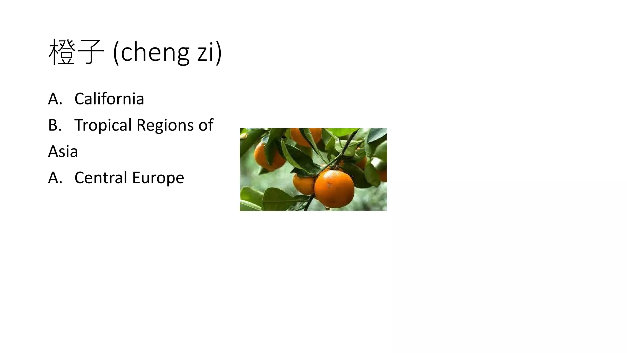 Birth Places of Some Common Fruits | PDF