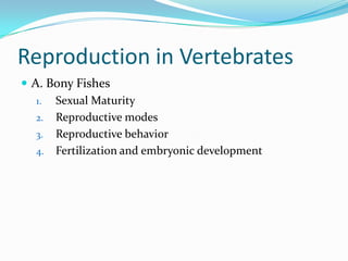 Birth & reproductive developmental process | PPTX