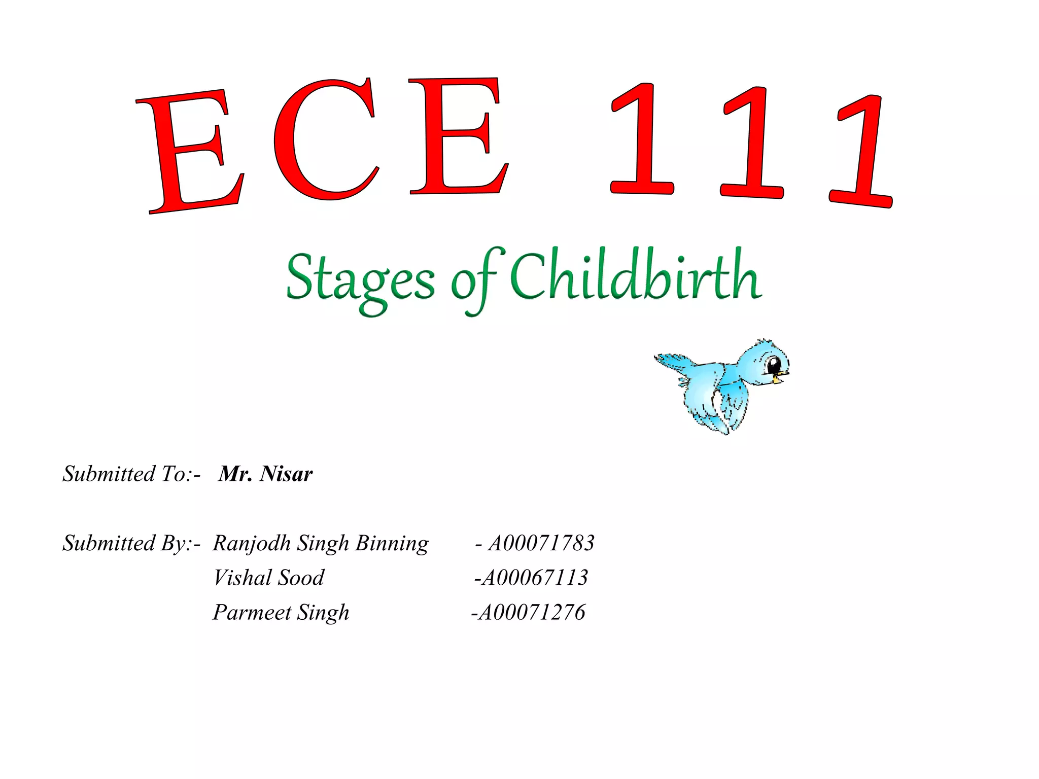 Birth stages | PPT