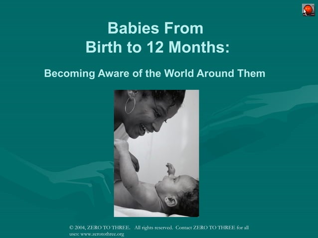 Birth to 12 months | PPT