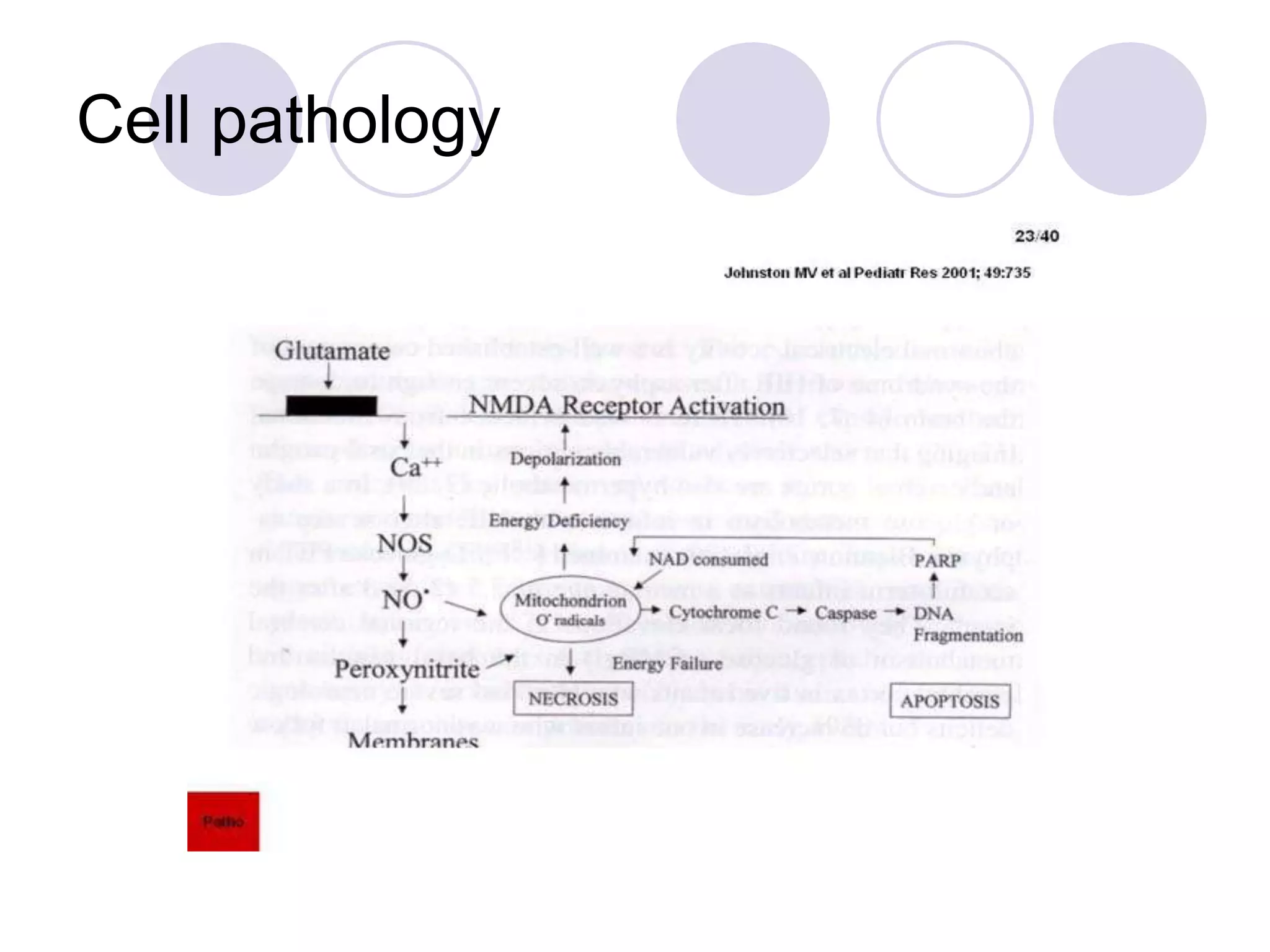 Birth Trauma. Asphyxia.ppt