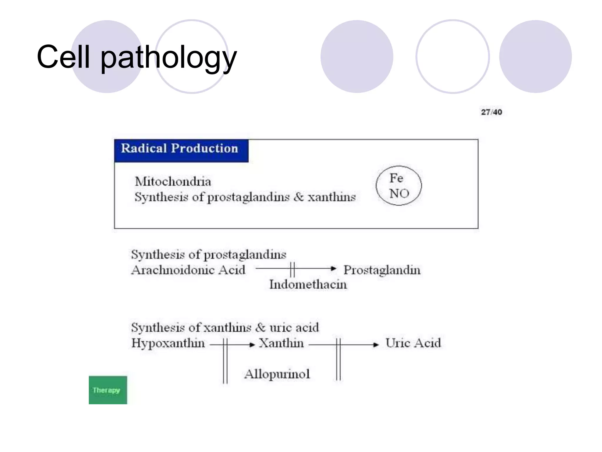 Birth Trauma. Asphyxia.ppt