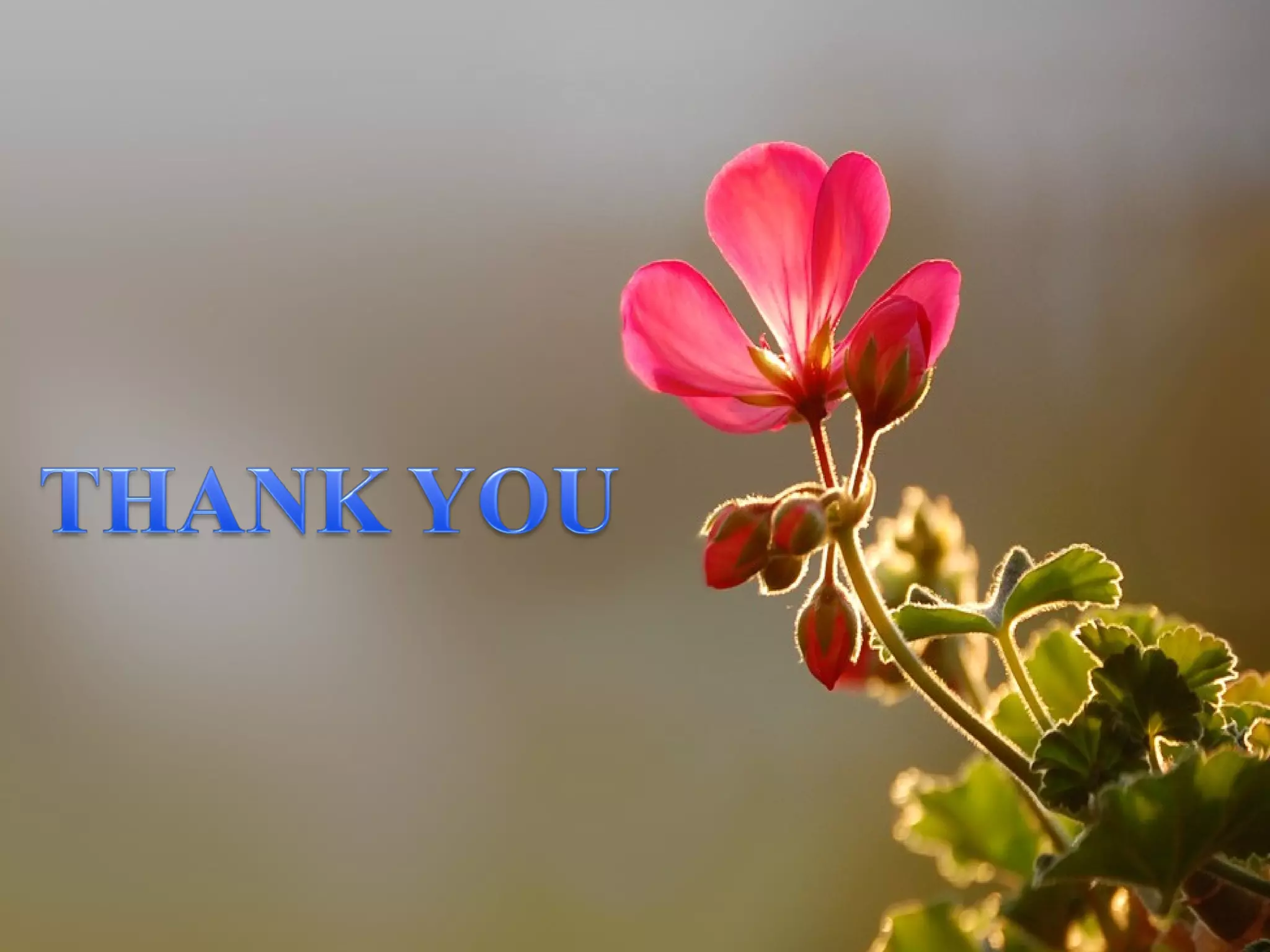 Birth trauma 2010 | PPT