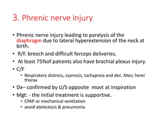 Birth Trauma update 2013.pptx