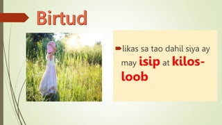 BIRTUD-2023.pptx