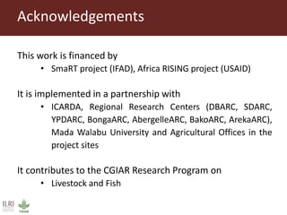 Impact of small ruminant diseases on different household members in Ethiopia | PPTX