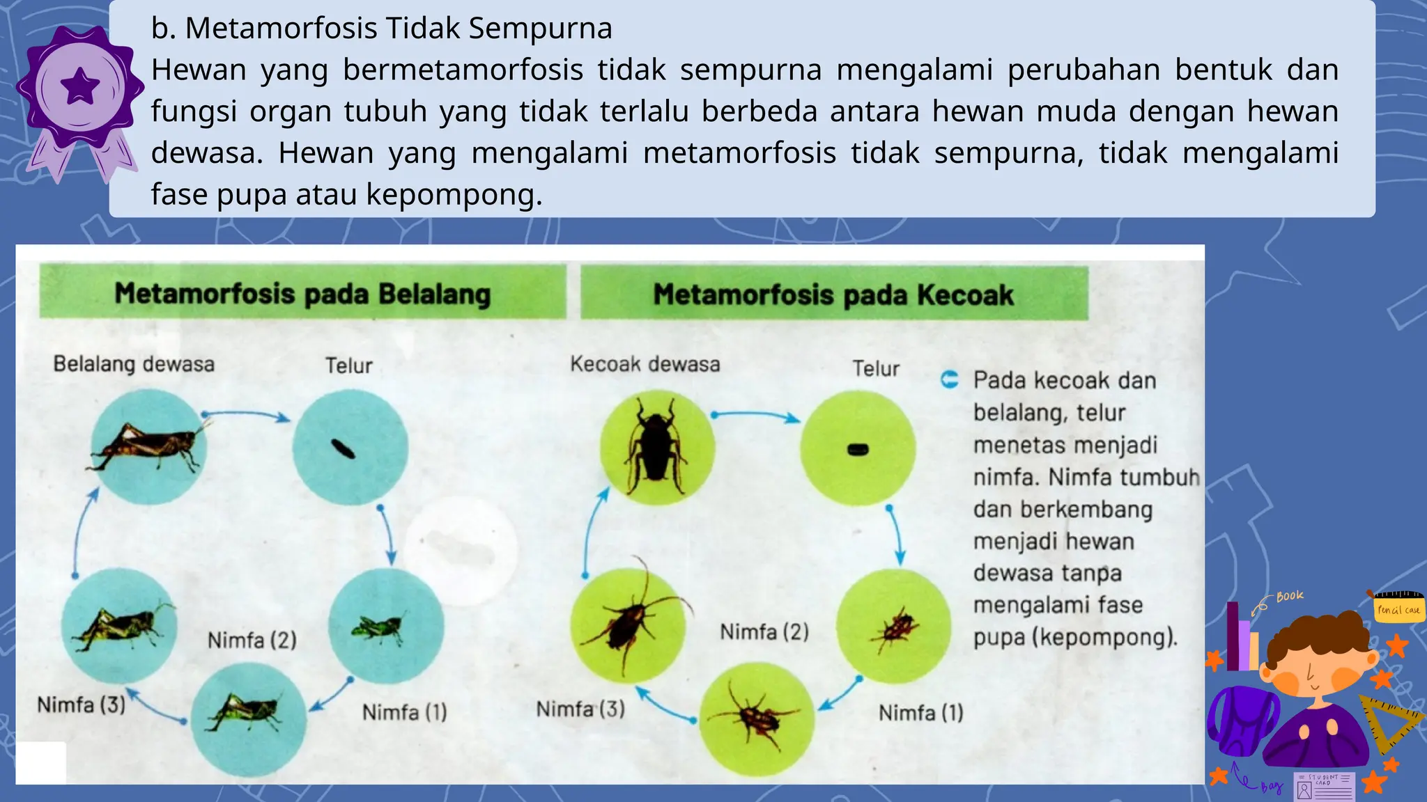 Ayo, mengenal siklus pada makhluk hidup.pptx Ayo, mengenal siklus pada makhluk hidup.pptx