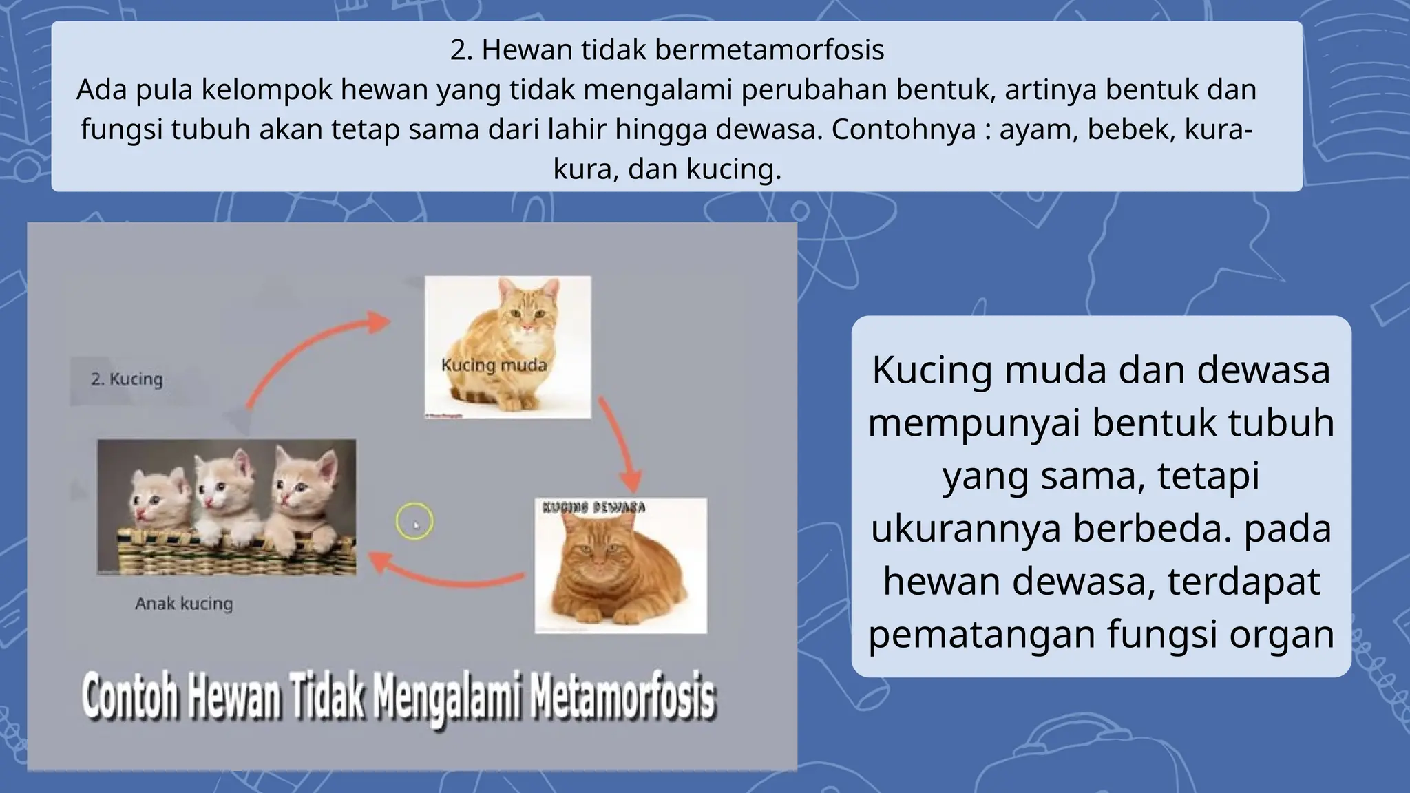 Ayo, mengenal siklus pada makhluk hidup.pptx Ayo, mengenal siklus pada makhluk hidup.pptx
