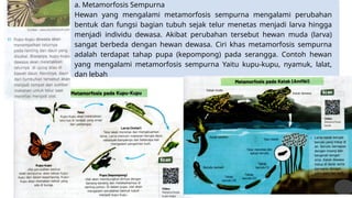 Ayo, mengenal siklus pada makhluk hidup.pptx