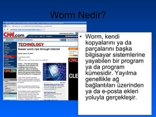Bir Worm 'un Anatomisi | PPS