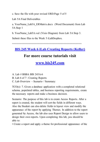 BIS 245 Lessons in Excellence / bis245.com