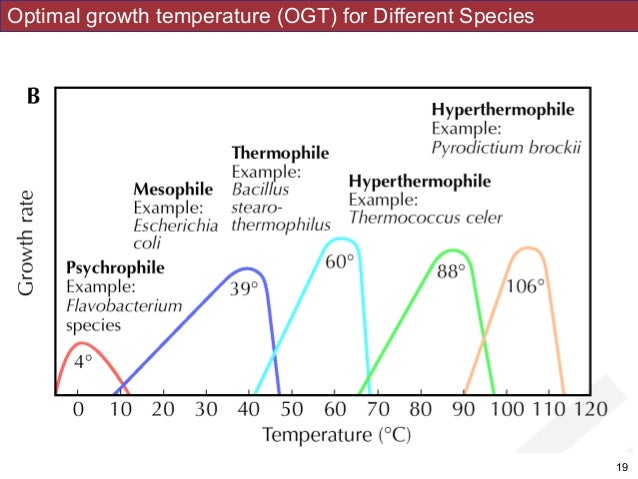 BiS2C: Lecture 11: Microbial Growth and Functions