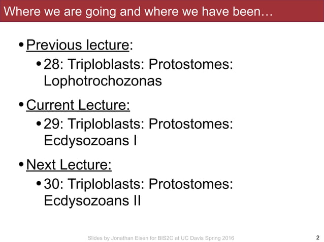 BIS2C: Lecture 29: Triploblasts: Protostomes: Ecdysozoans I | PPT