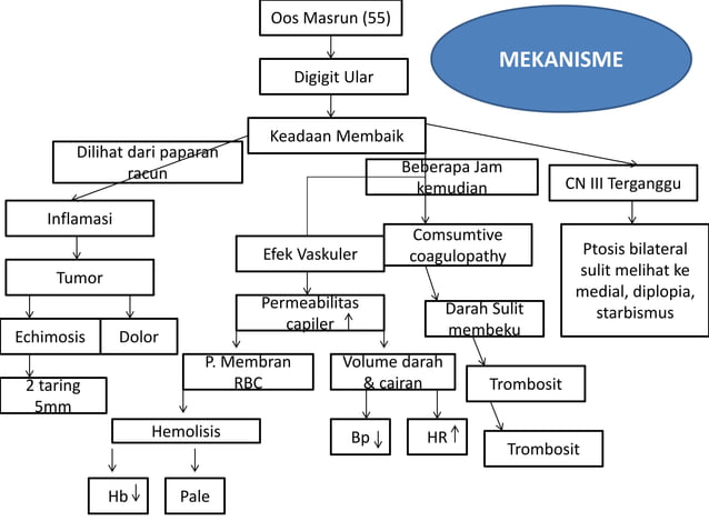 Keracunan Bisa Ular | PPT