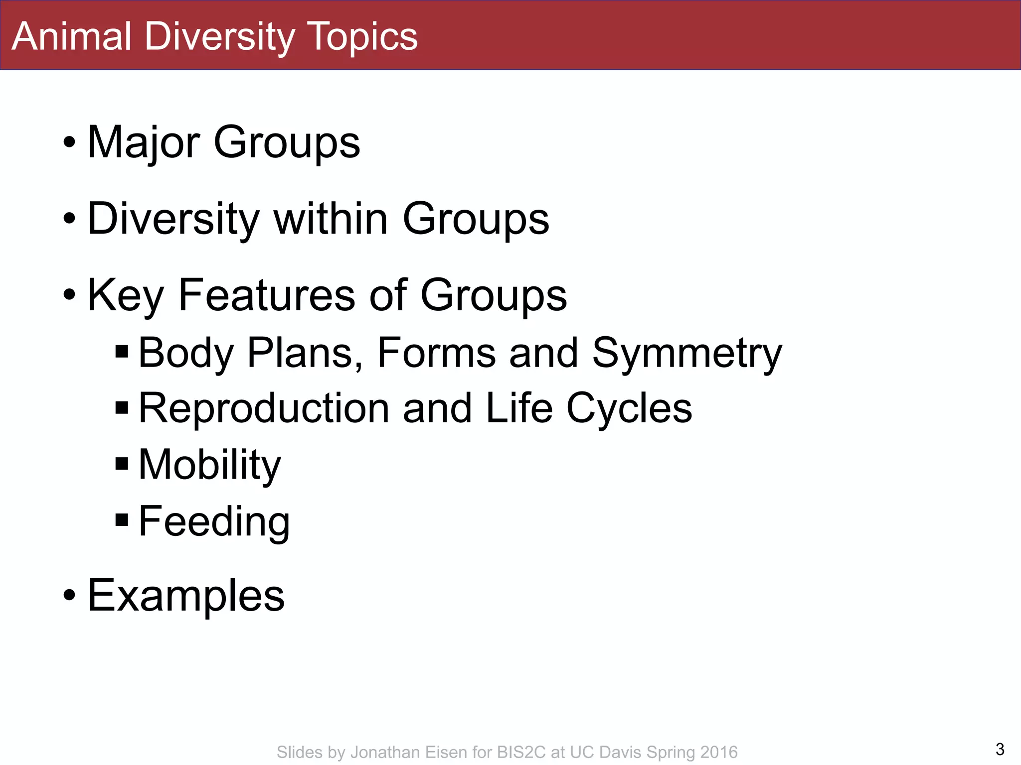 BIS2C: Lecture 28: Lophotrochozoans | PDF