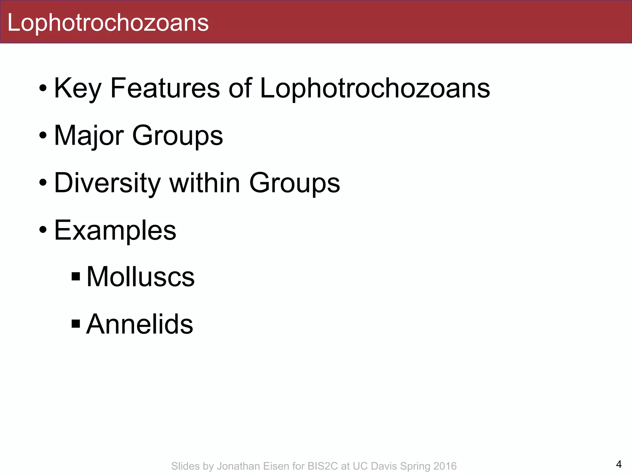 BIS2C: Lecture 28: Lophotrochozoans | PDF