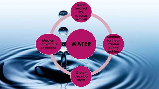 Biscuit manufacturing process | PPTX | Desserts and Baking | Food & Drink