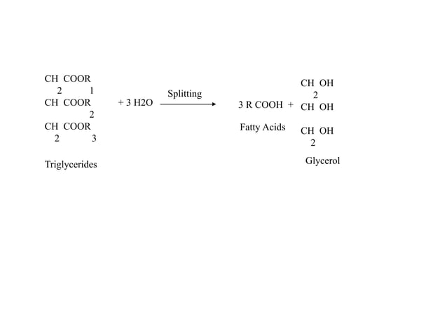 Biscuit manufacturing process & Quality control. | PDF | Desserts and ...