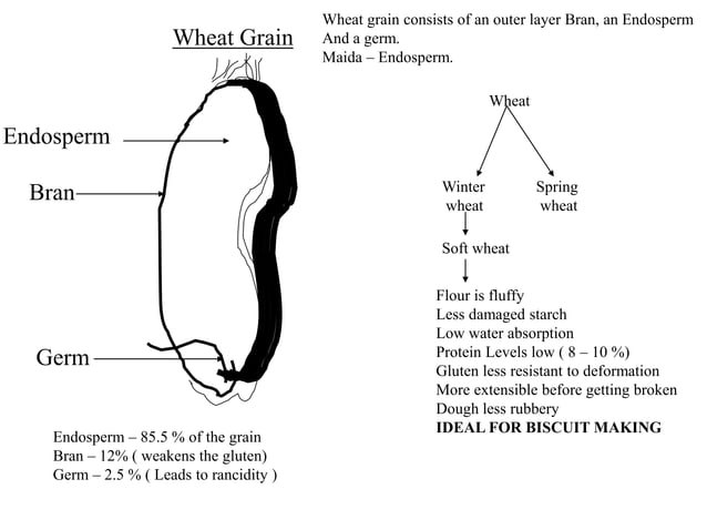 Biscuit manufacturing process & Quality control. | PDF | Desserts and ...