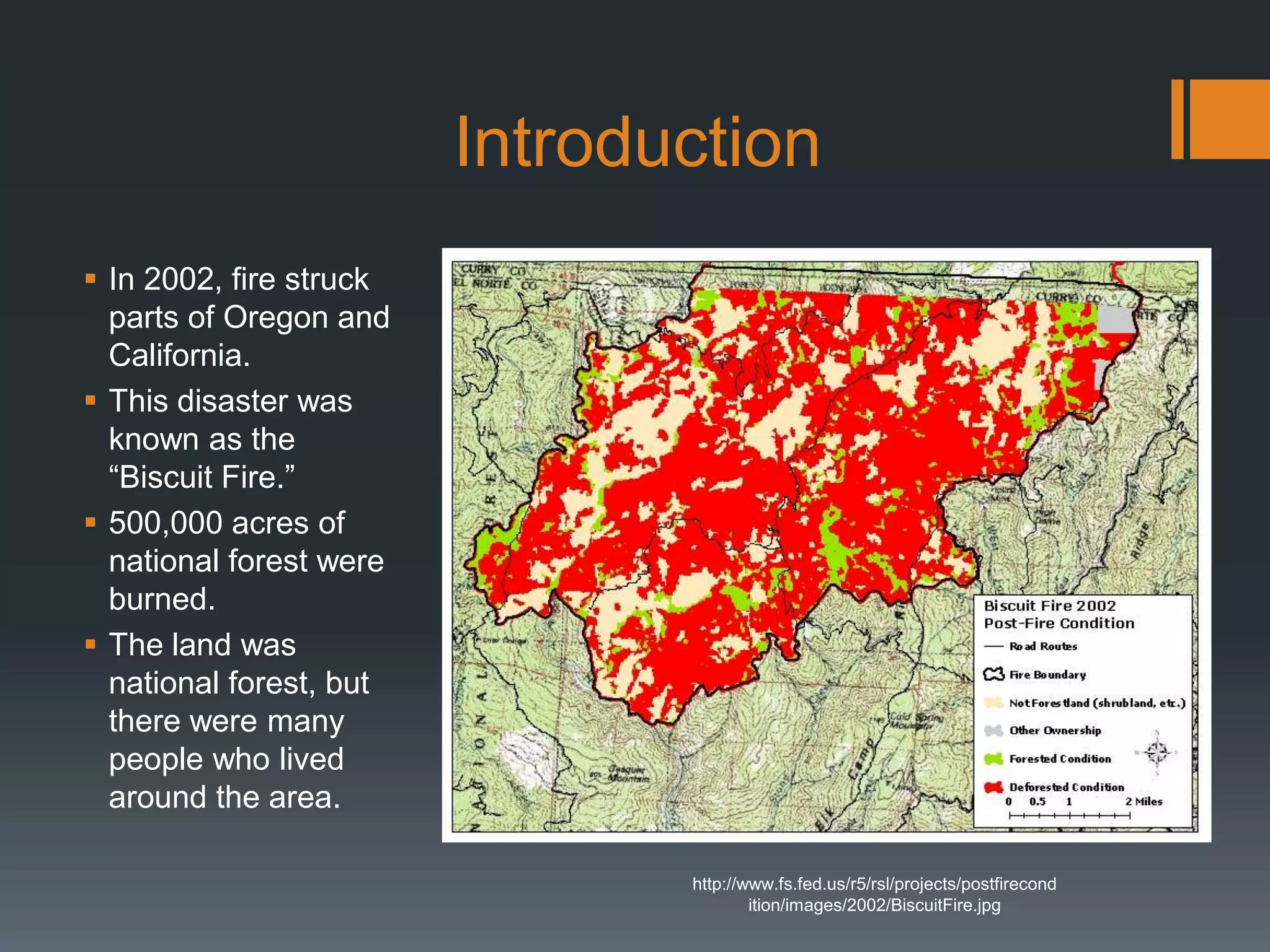 Biscuit wildfire presentation | PPTX