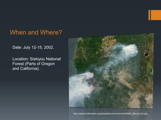 Biscuit wildfire presentation | PPTX