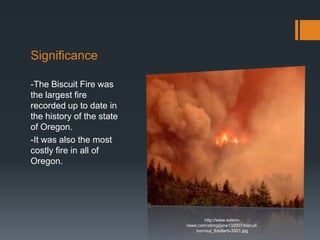 Biscuit wildfire presentation | PPTX