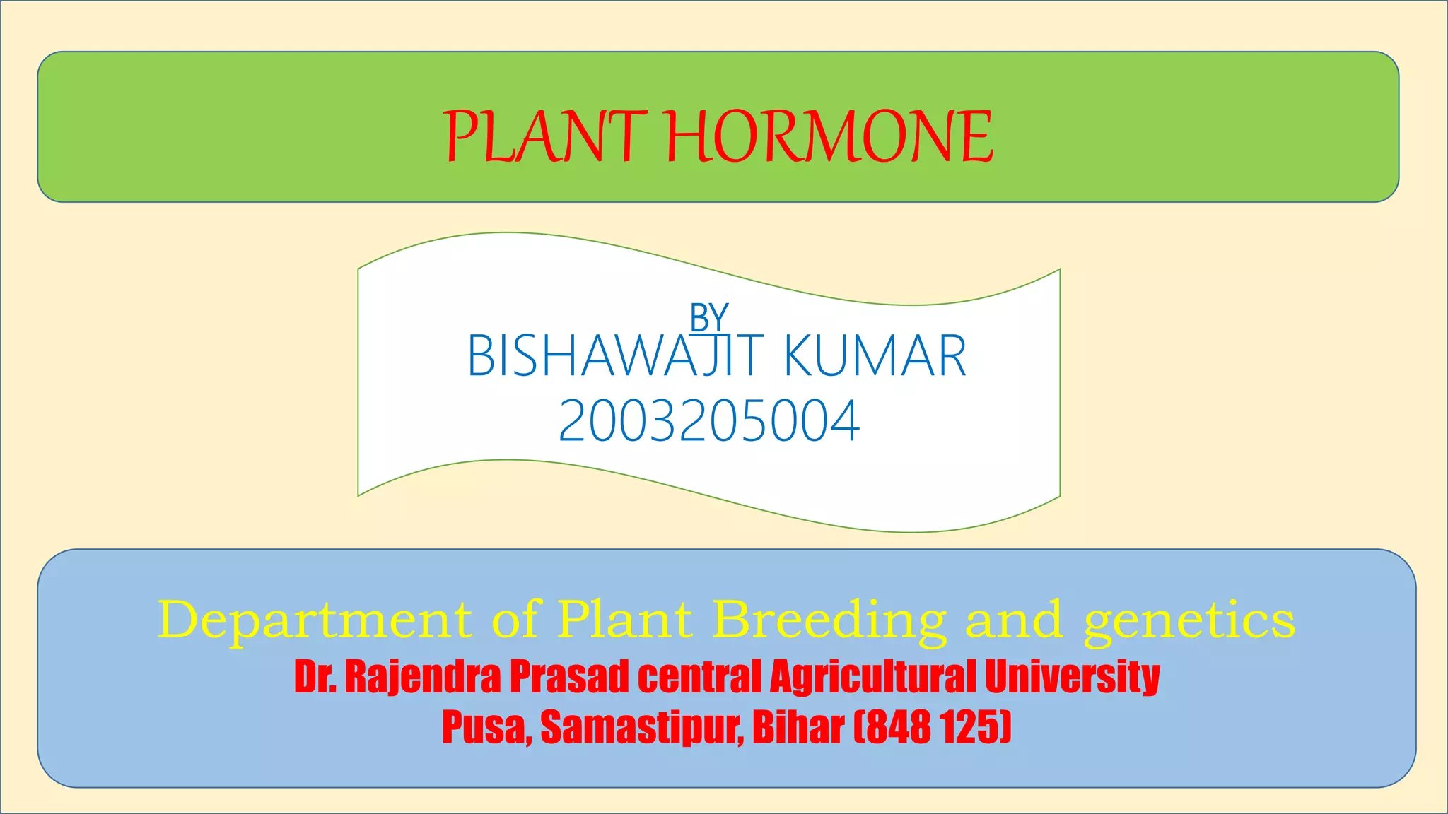 plant hormone | PPT