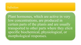 plant hormone | PPT