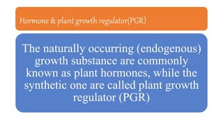 plant hormone | PPTX