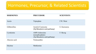 plant hormone | PPT