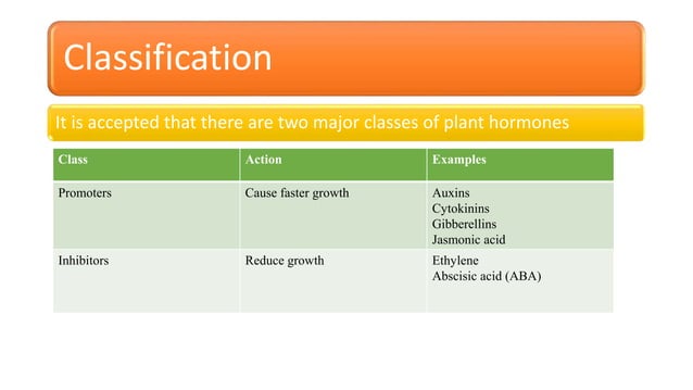 plant hormone | PPT