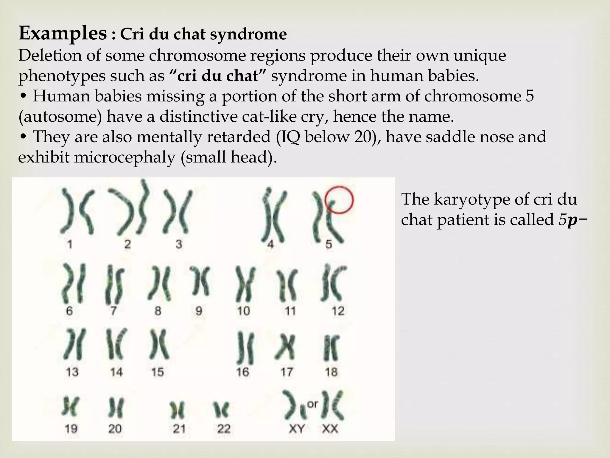 chromosomal disorder structural and numerical | PPTX