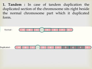 chromosomal disorder structural and numerical | PPTX