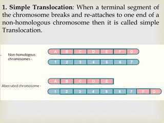 chromosomal disorder structural and numerical | PPTX