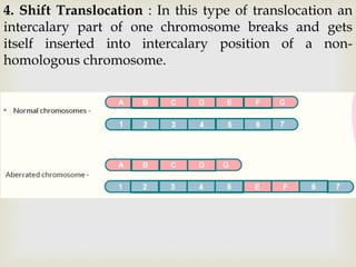 chromosomal disorder structural and numerical | PPTX