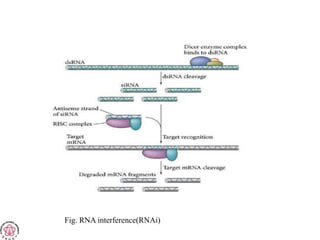 RNA interference gene expression in Soybean | PPT