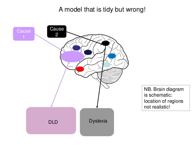 What Is Developmental Language Disorder what-is-developmental-language-disorder