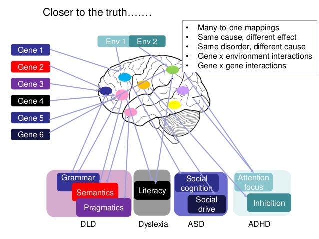What Is Developmental Language Disorder what-is-developmental-language-disorder