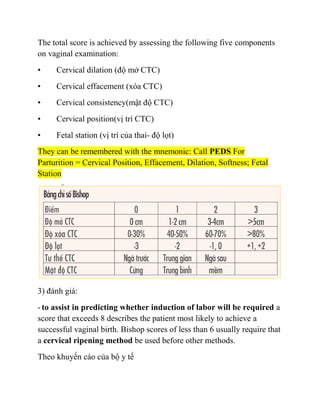 Bishop score | PDF