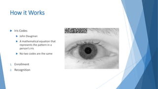 Bis iris scanning | PPT