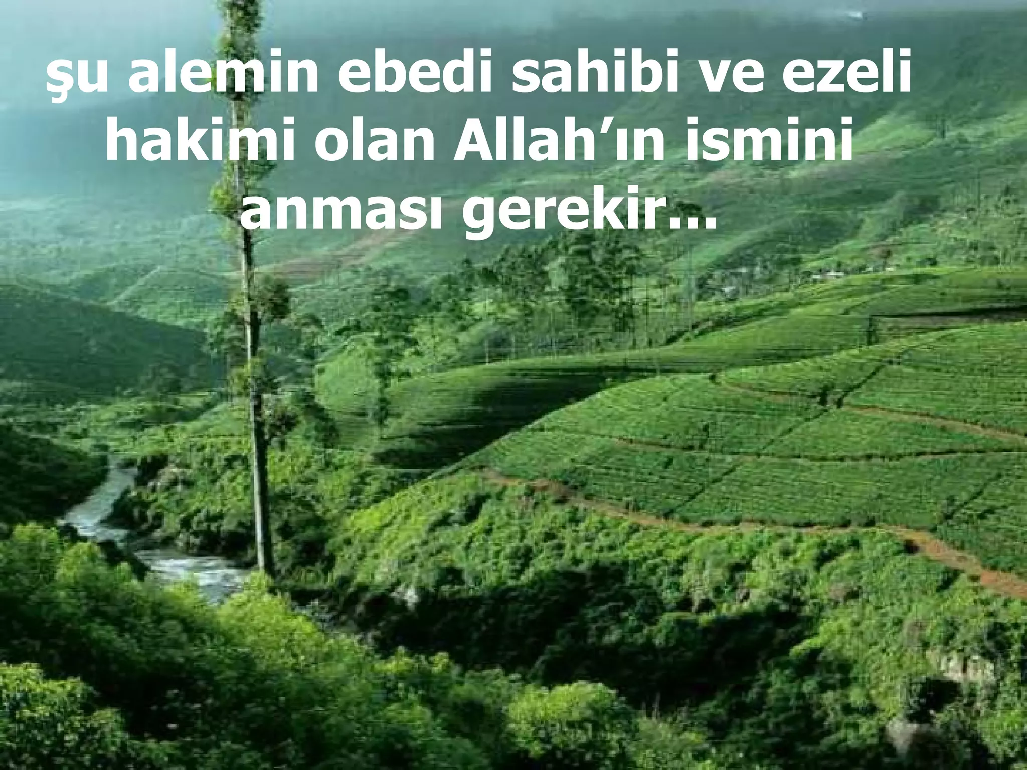 Bismillah | PPT | Free Download