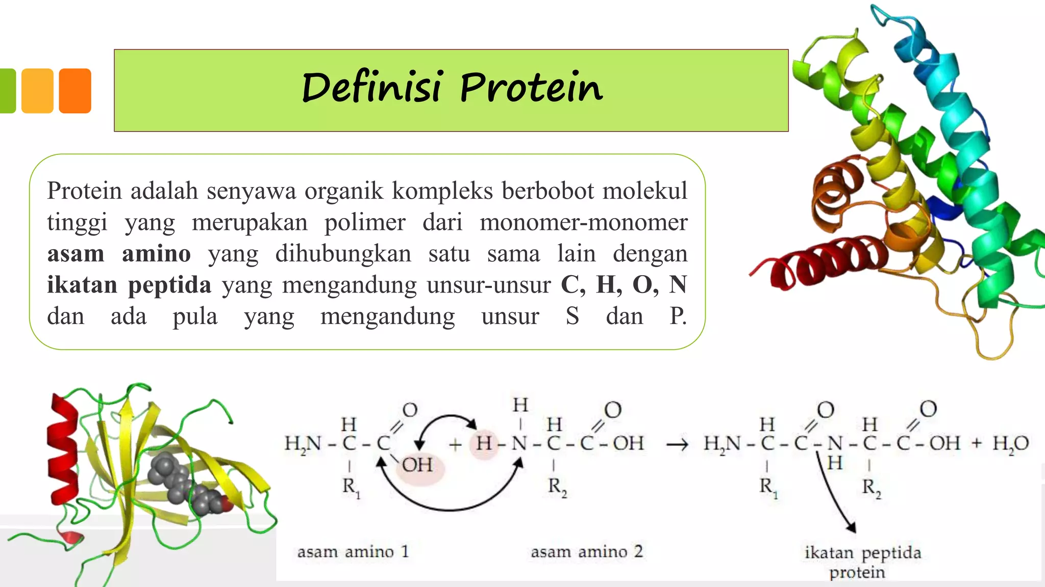ISOLASI PROTEIN DAN WESTERN BLOTING | PPTX