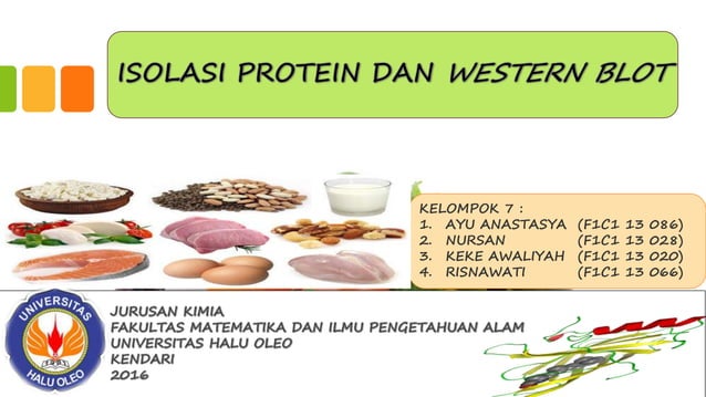Isolasi Protein Dan Western Bloting Pptx